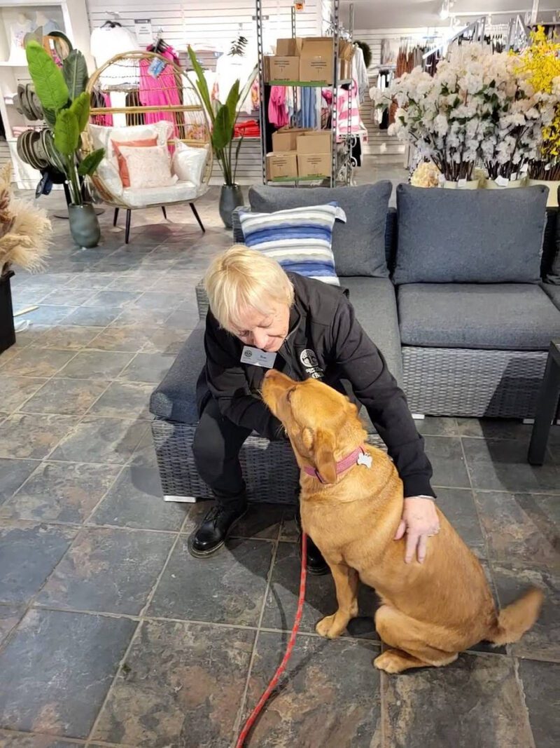 Garden Centres & Dogs! A Perfect Combination - Everything-Dog.ca