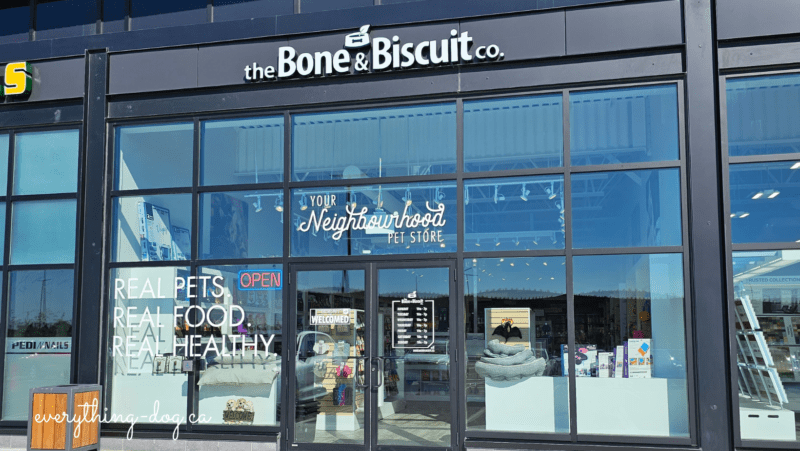 Everything-Dog.ca - Living My Best Life....With My Dog